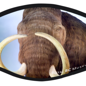 Shop Online | Royal BC Museum